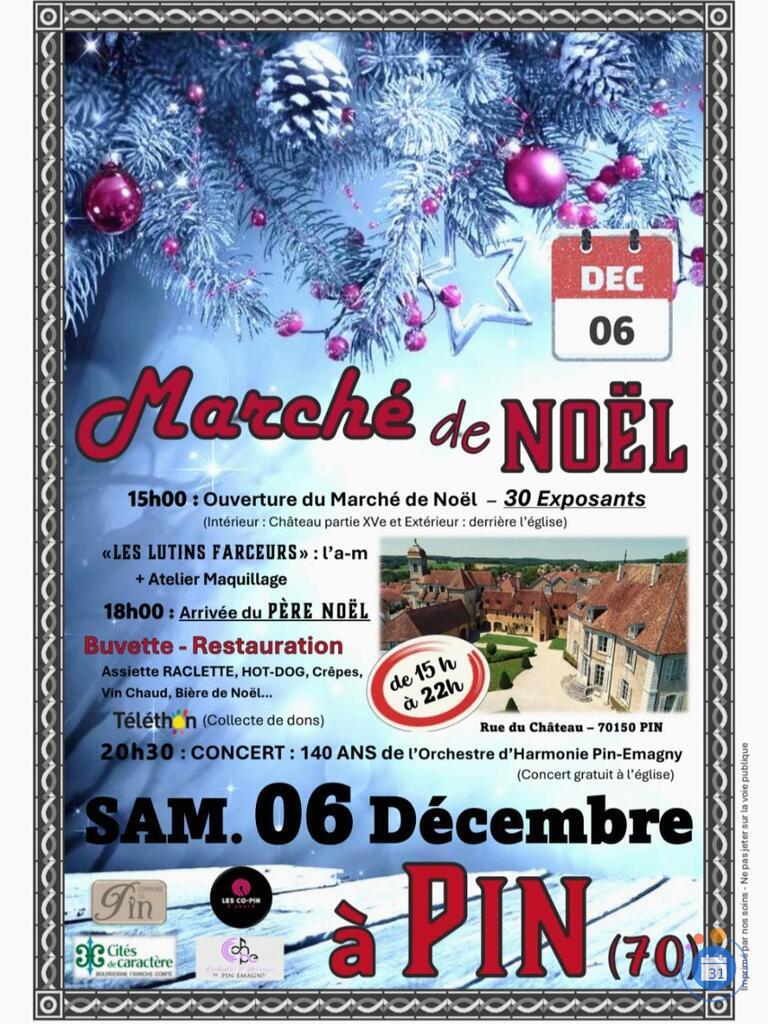 Marché de Noël au Château de Pin (70) - Pin (70)